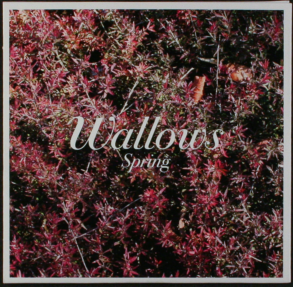ALBUM REVIEW: Wallows // Spring EP » // MELODIC Magazine
