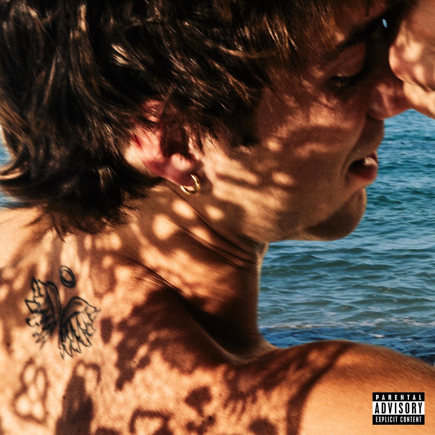 Daniel Seavey turns grief into strength on ‘Second Wind’ » // MELODIC Magazine