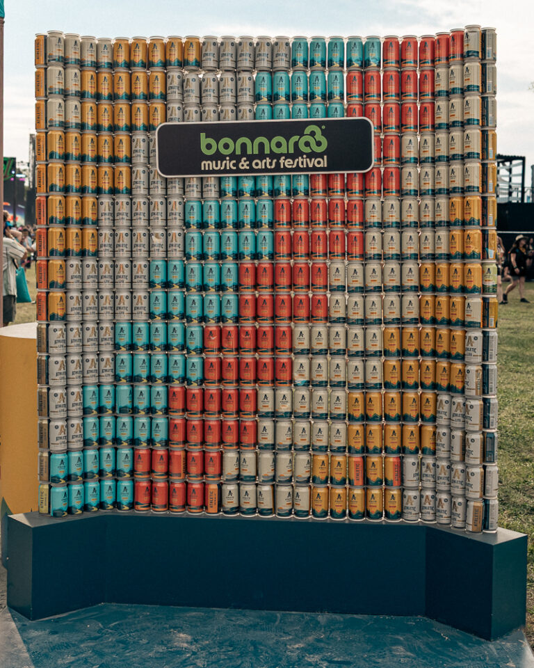 Bonnaroo 2025: Mud, Magic, and the Music That Made It All Worth It ...