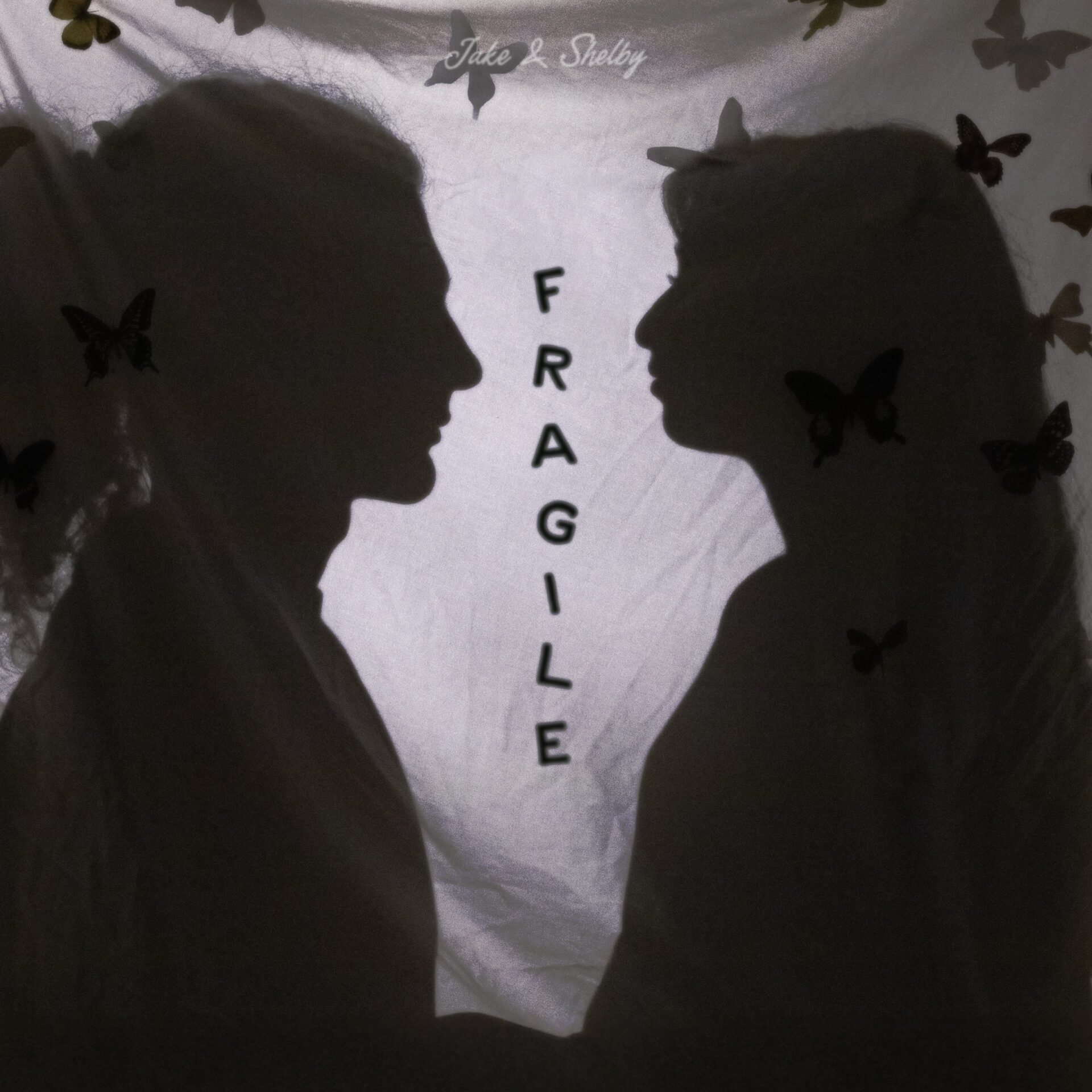 Jake & Shelby face the weight of independence on “Fragile” » // MELODIC ...